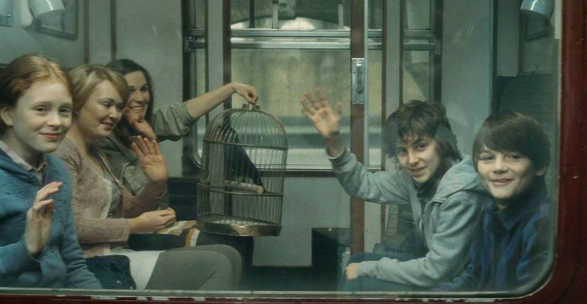 Harry Potter Family Tree Explained