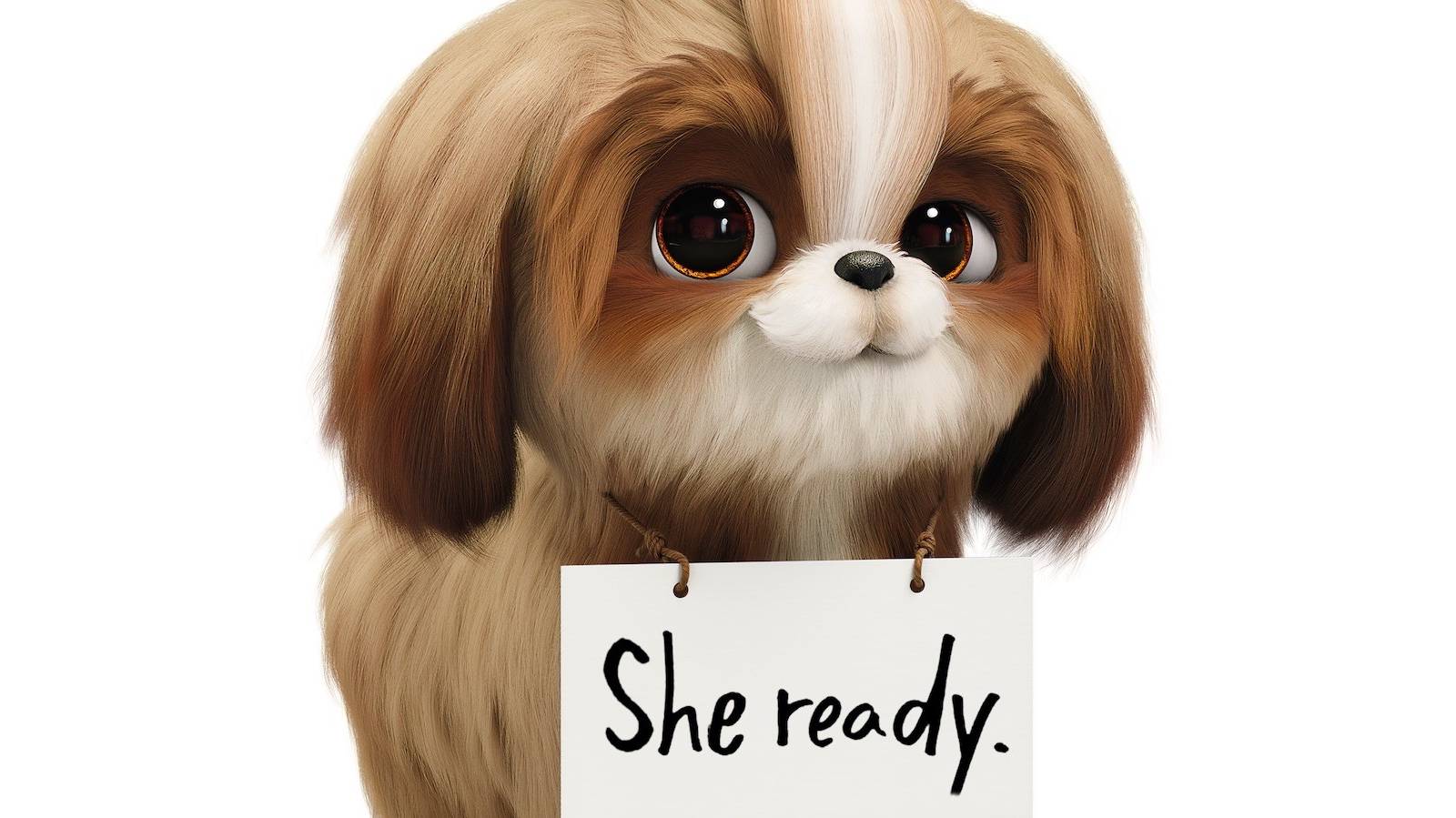 Secret Life Of Pets 2 Trailer Introduces Tiffany Haddish's Daisy