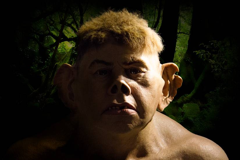 Ranked: The Most Powerful Creatures In The Potterverse