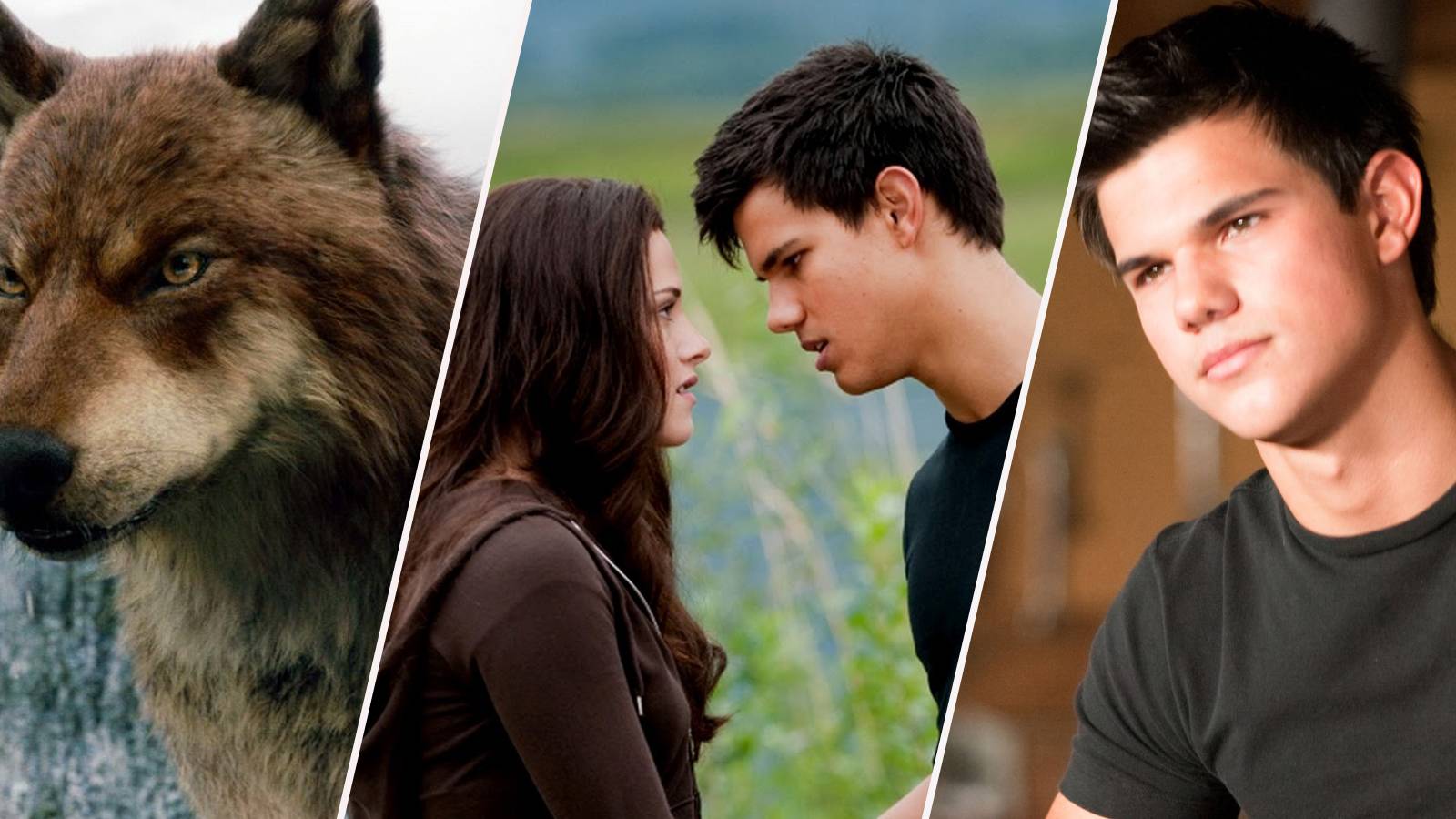 Twilight: 20 Wild Details Only True Fans Know About Jacob Black