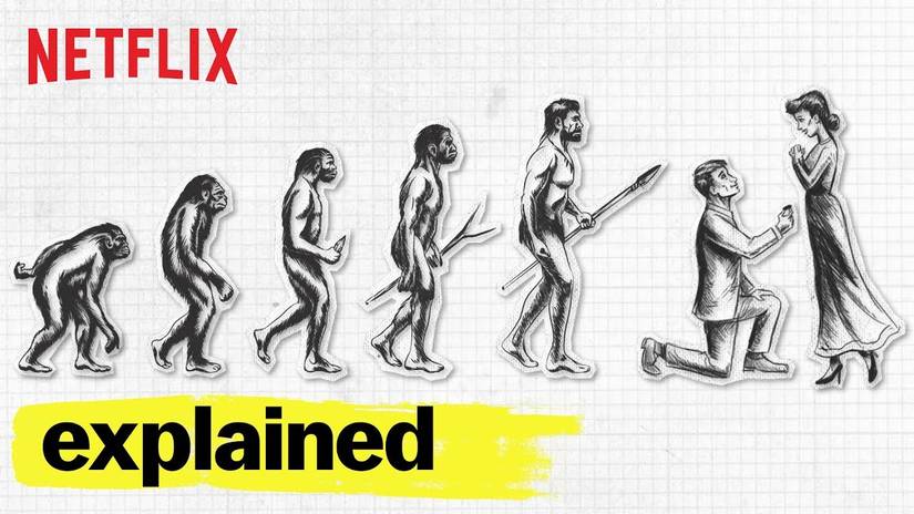 10 Episodes Of Explained That Will Change The Way You Think