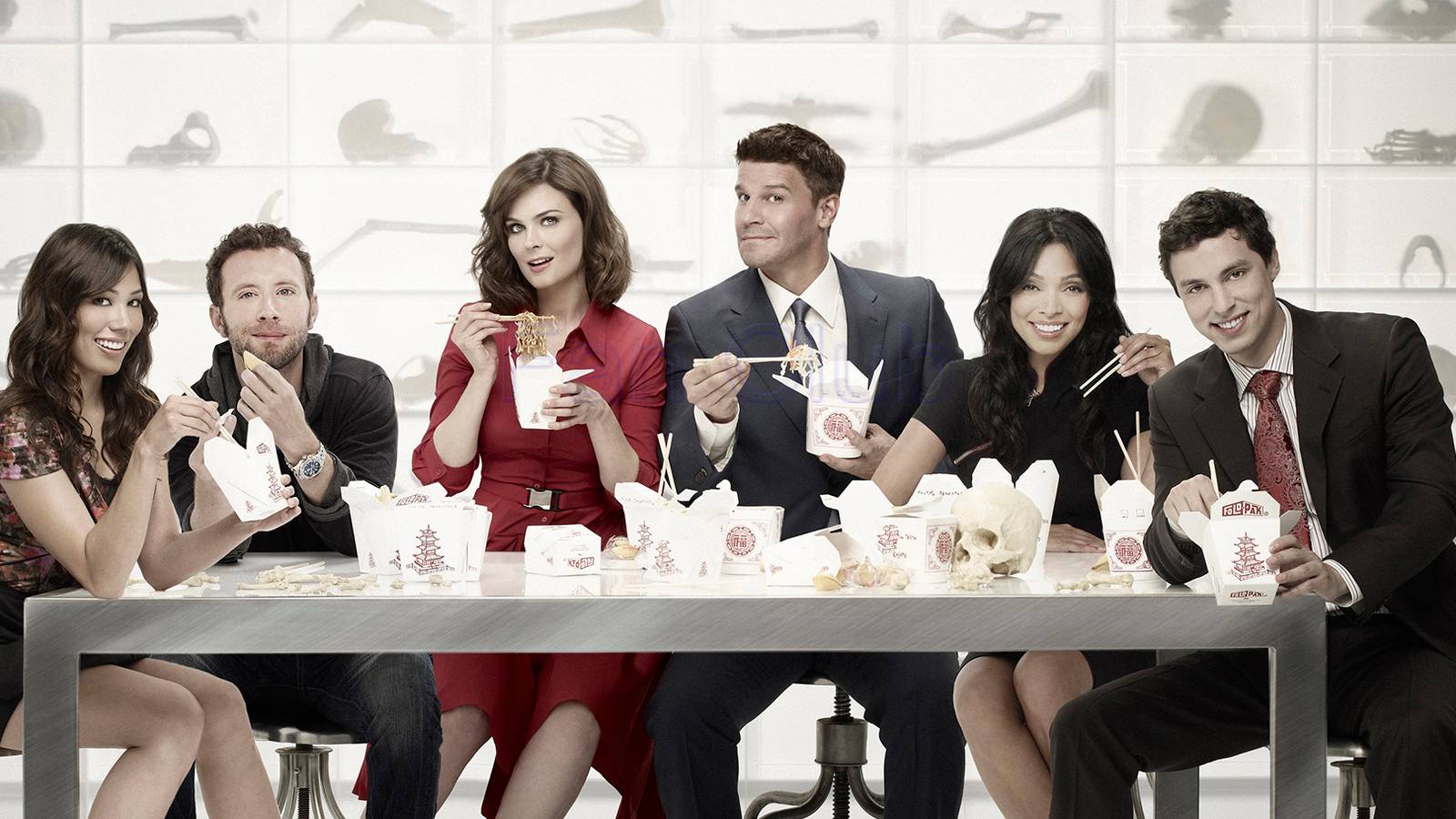 Bones: Where Are They Now?