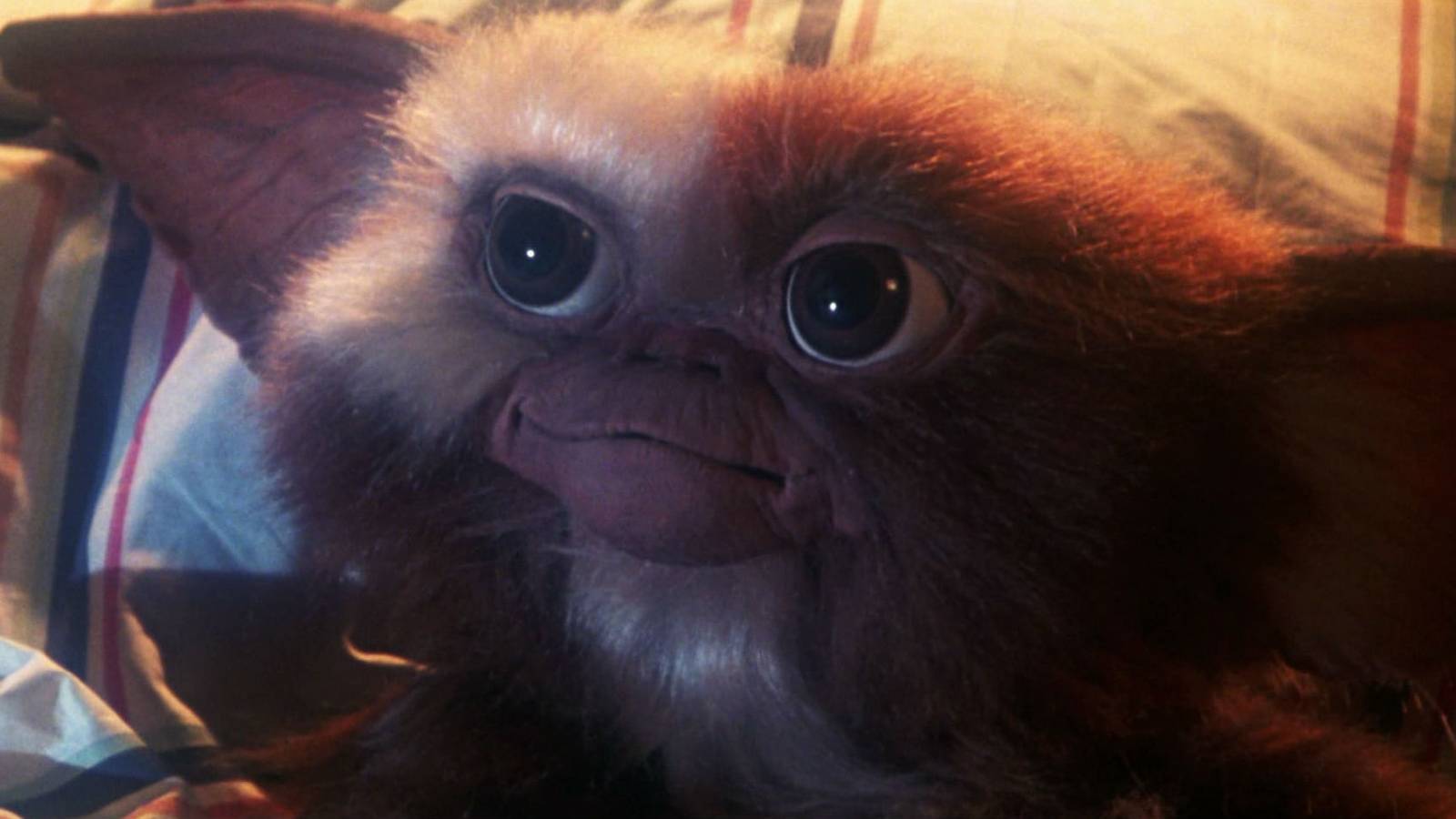 Gremlins Animated TV Show In The Works At Warner's Streaming Service