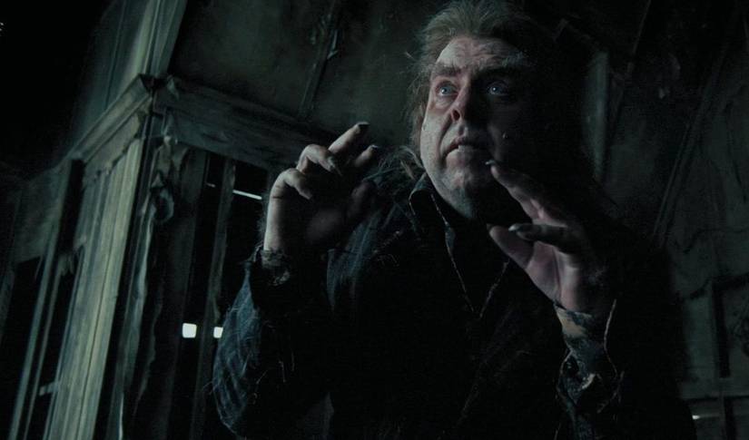 10 Little-Known Facts About Animagus In The Harry Potter Universe