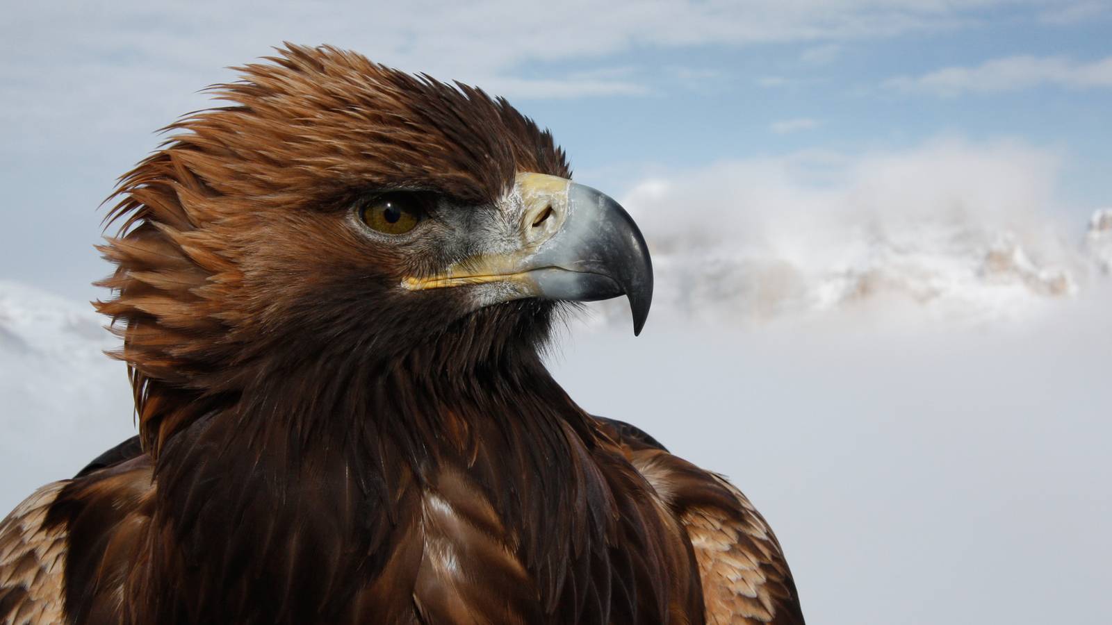 Hostile Planet Review: National Geographic Captures Fragility Of Life