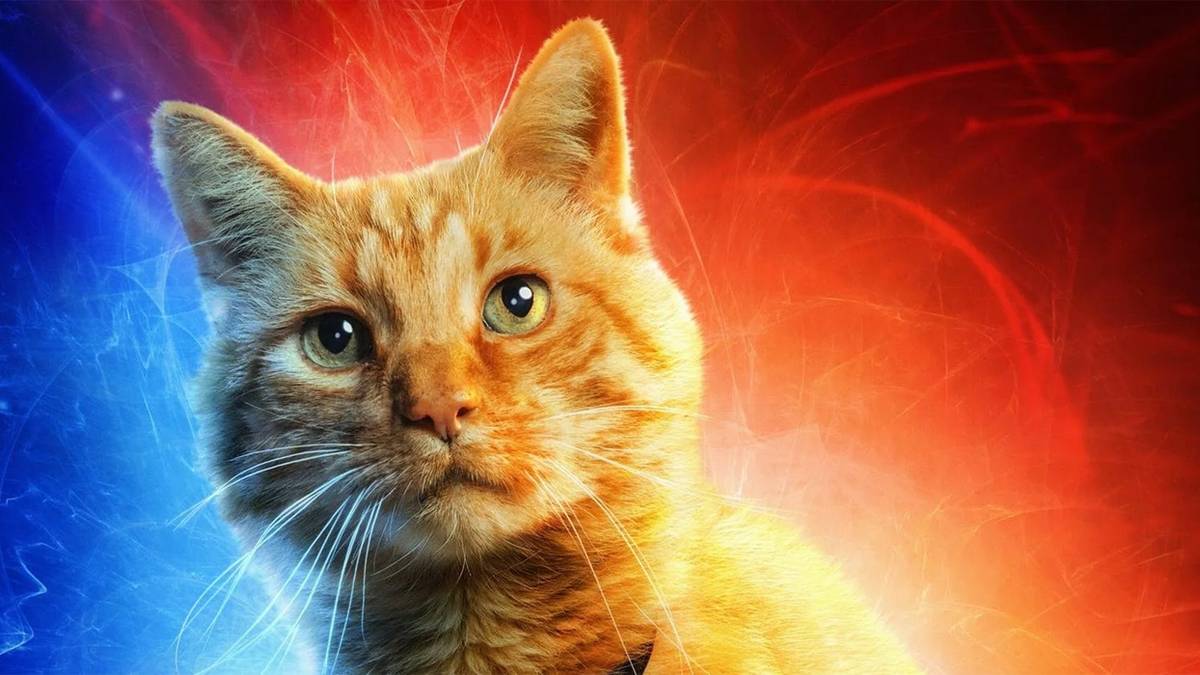 Captain Marvel Video Spotlights Fan-Favorite Goose the Cat