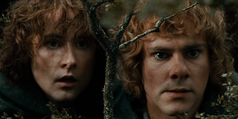 The Lord Of The Rings: The 10 Funniest Merry And Pippin Quotes