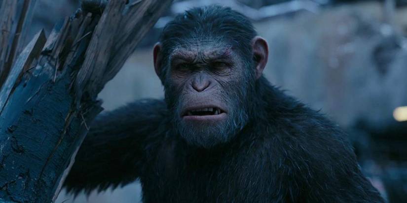 Disney Planning More Planet of the Apes Movies