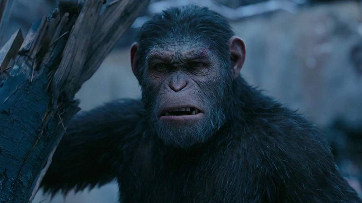 Daredevil's Vincent D'Onofrio Reveals Fear of Monkeys in Bizarre Tweet