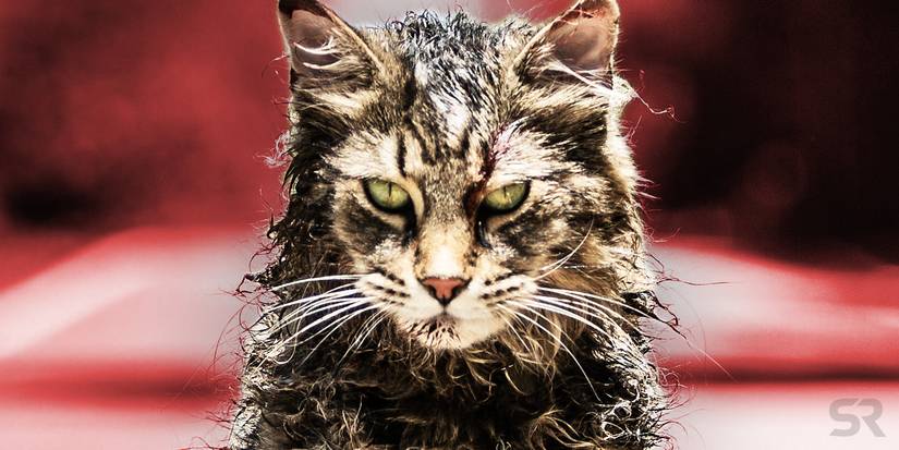 5 Differences And 5 Similarities About Pet Sematary's Church The Cat ...