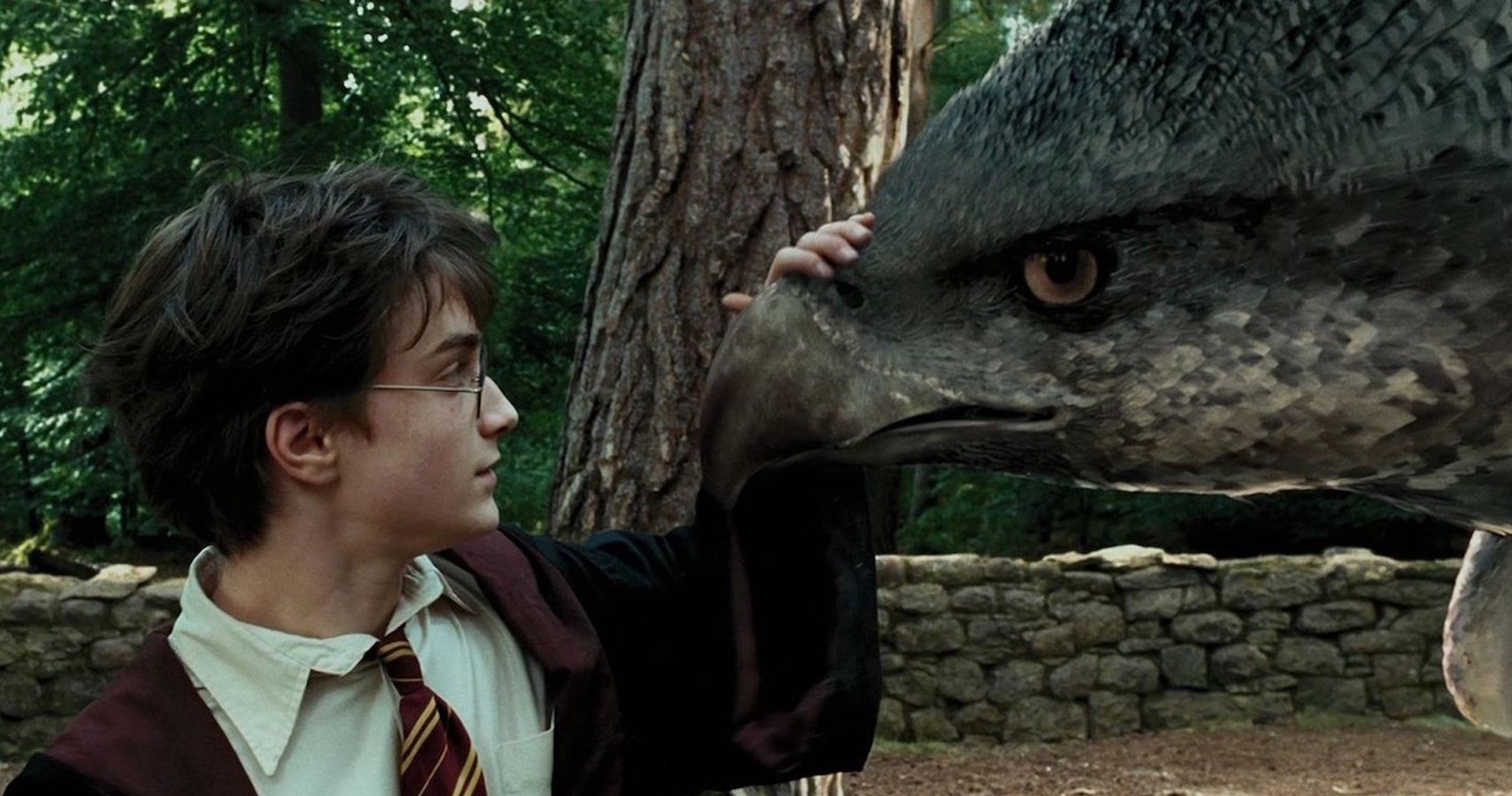 Harry Potter: 20 Creatures Ranked From Weakest To Strongest, Officially ...