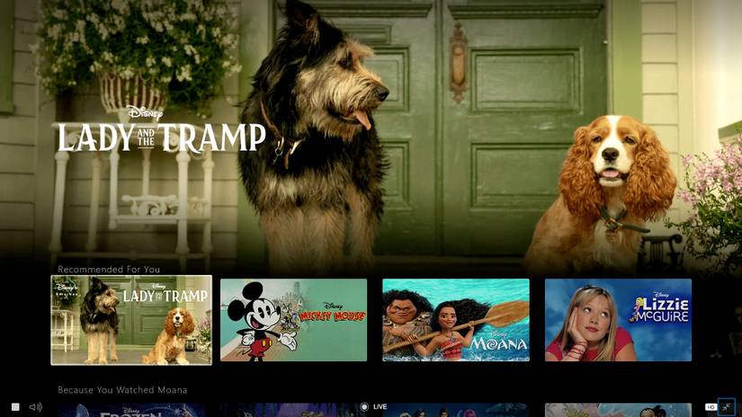 First Look At Disney’s Live-Action Lady And The Tramp Movie