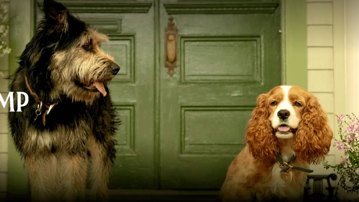 First Look At Disney’s Live-Action Lady And The Tramp Movie