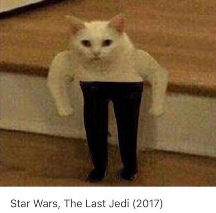 Star Wars: 10 Absolutely Hilarious Ben Swolo Memes