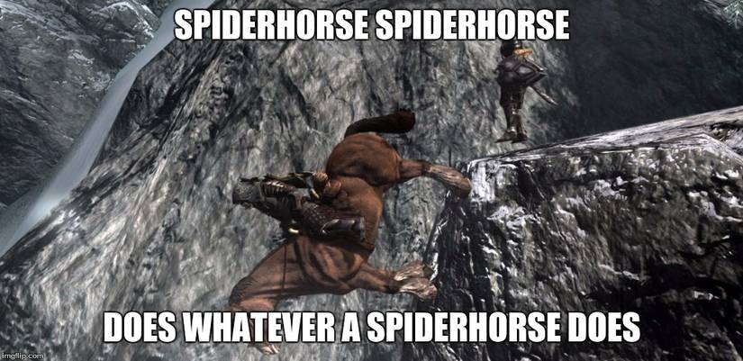 10 Hilarious Skyrim Memes That Will Make You Want To Jump Back In The Game