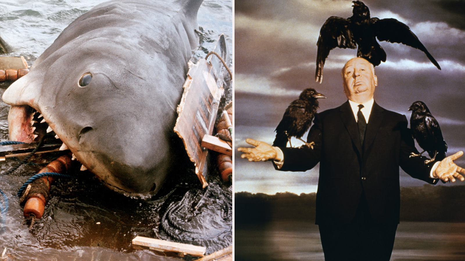 Ranked: Top 10 Creepiest Animals in Horror Movies
