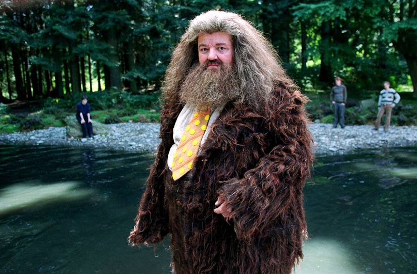 Harry Potter: Best & Worst Costumes From The Movies, Ranked