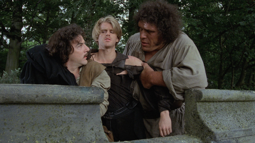 10 Most Memorable Quotes From The Princess Bride