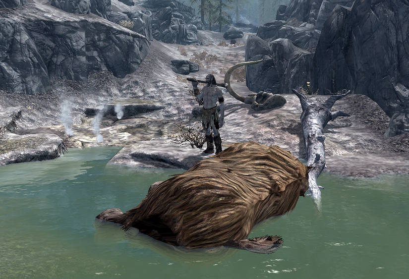 24 Hidden Areas In Skyrim Casual Fans Completely Missed