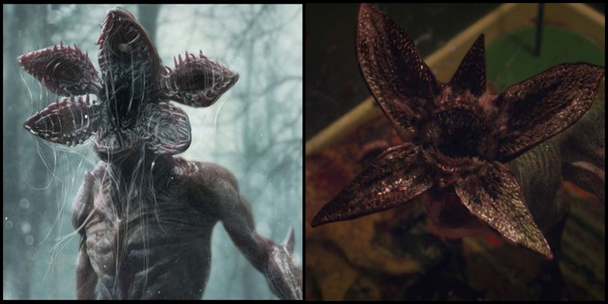 Stranger Things: Demogorgon Origins, Life Cycle And Variants