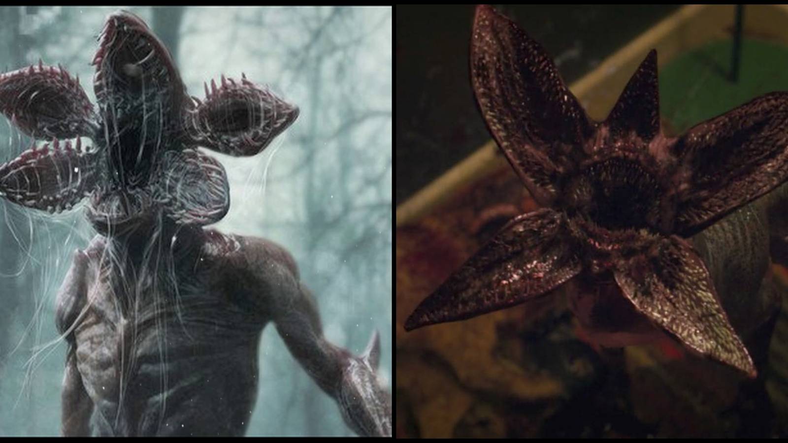 Stranger Things: Demogorgon Origins, Life Cycle And Variants