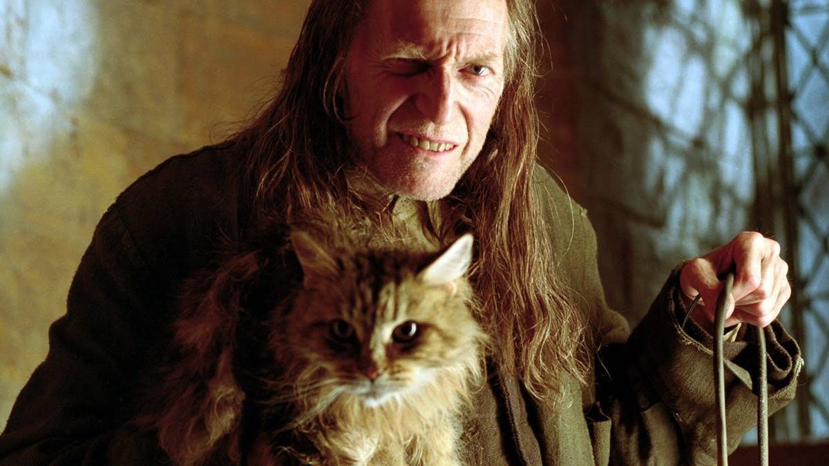 The Harry Potter Remake's New Filch Actor Was Already In The Movies ...