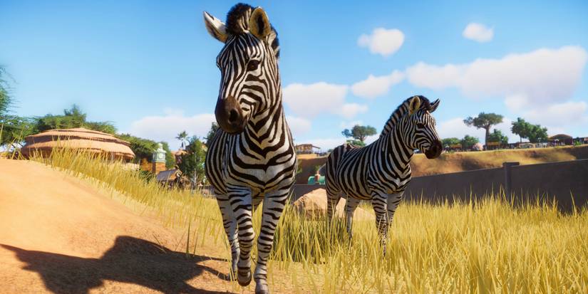 Planet Zoo: Animal Genetics Guide (Tips, Tricks, & Strategies)
