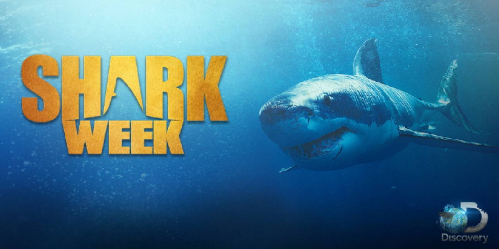 When Is Shark Week 2019? Here's What Specials To Expect This Year