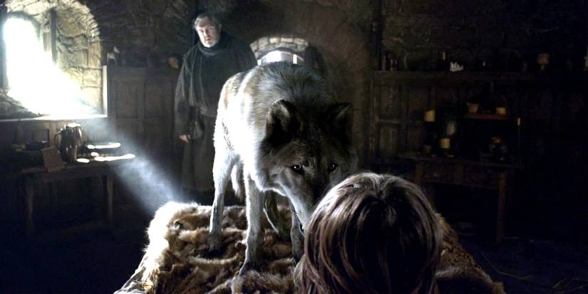 Games Of Thrones: 10 Best Direwolf Moments