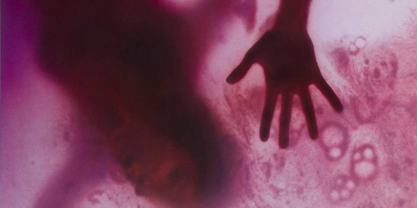 Rob Zombie's Unmade The Blob Remake Explained