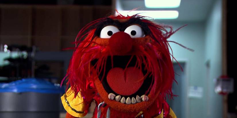 Which Muppet Are You Based On Your MBTI