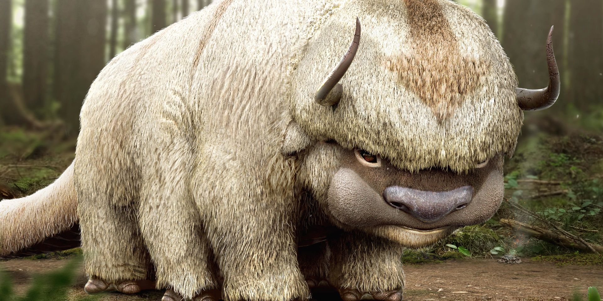 Avatar: What Happened To Appa After The Last Airbender Ended