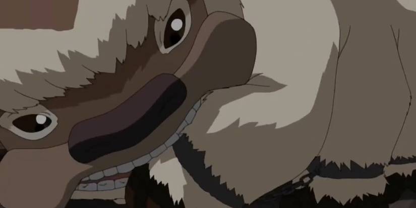 Avatar: 10 Things Every Fan Should Know About Appa