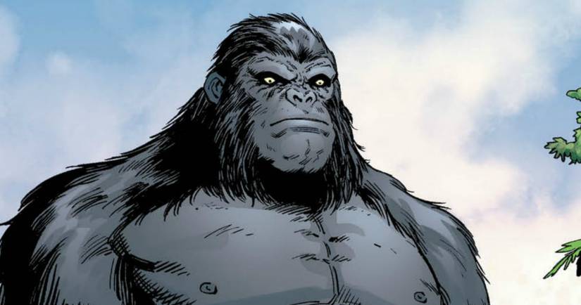 The DCU Has Already Teased Gorilla Grodd And I'm Excited Because James ...