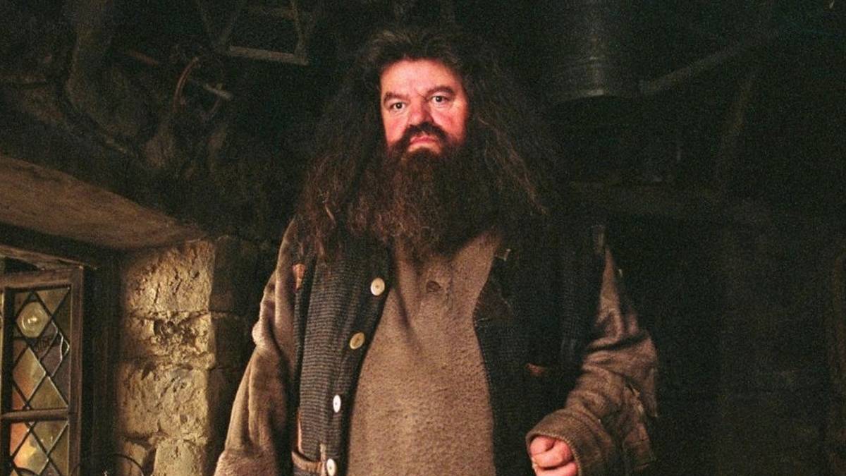Harry Potter: Top 10 Magical Creatures Introduced To Us By Rubeus Hagrid
