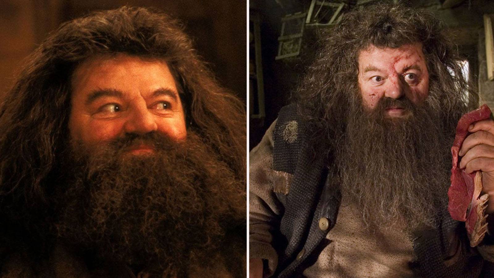Harry Potter: 10 Things Only Book Fans Know About Rubeus Hagrid