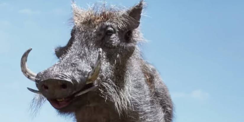The Lion King: 13 Things You Didn’t Know About Timon And Pumbaa