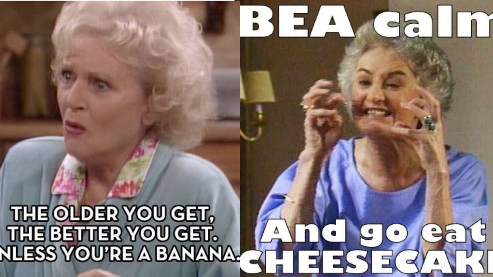 Golden Girls Memes Golden Girls: 10 Hilarious Dorothy Memes That Are