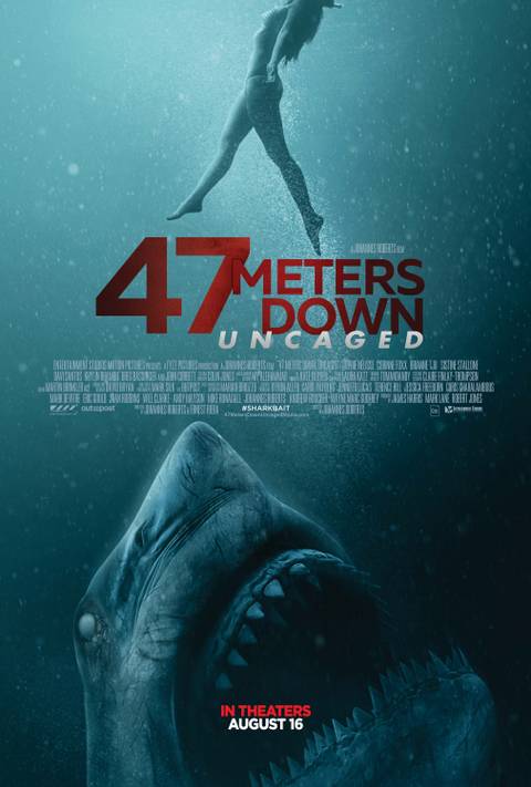 15 Best Killer Shark Movies, Ranked (That Aren't Jaws)