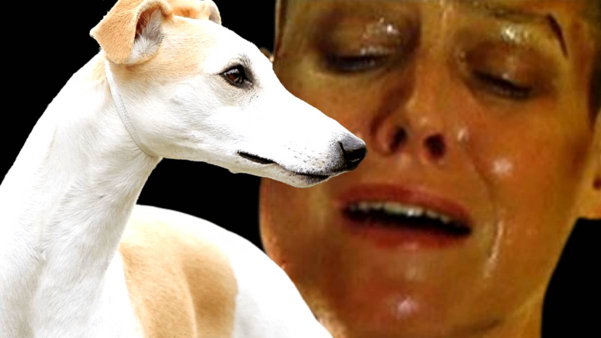 Alien 3's Xenomorph Was Almost A Whippet In A Costume