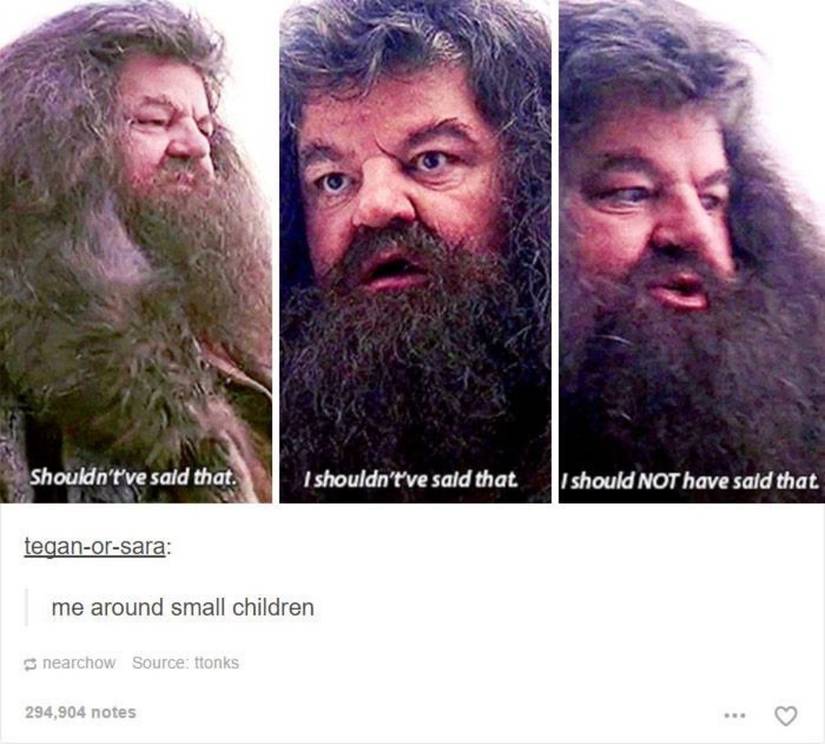 Harry Potter: 10 Hilarious Hagrid Logic Memes That Are Too Funny