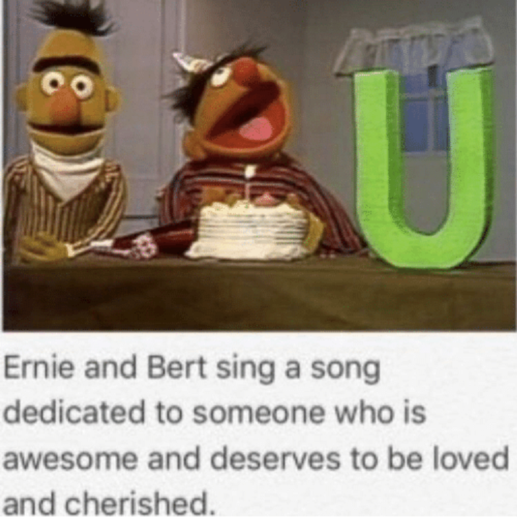 Sesame Street: 10 Hilarious (& Adorable) Bert And Ernie Memes