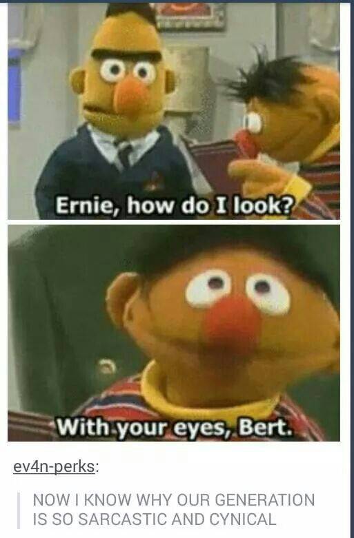 Sesame Street: 10 Hilarious (& Adorable) Bert And Ernie Memes