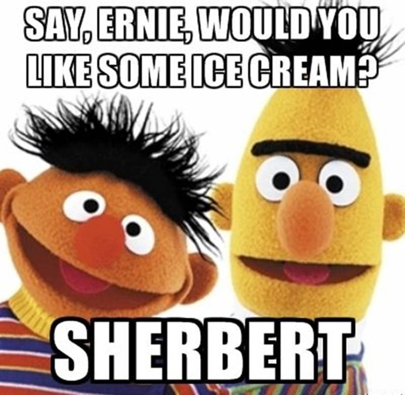 Sesame Street: 10 Hilarious (& Adorable) Bert And Ernie Memes
