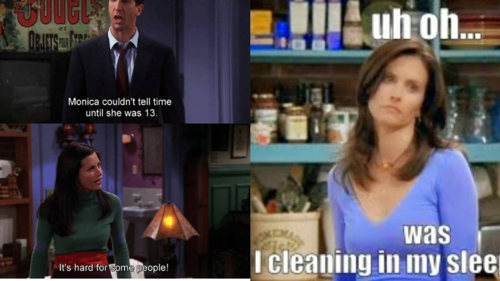 Friends: 10 Monica Memes That Are Too Hilarious For Words
