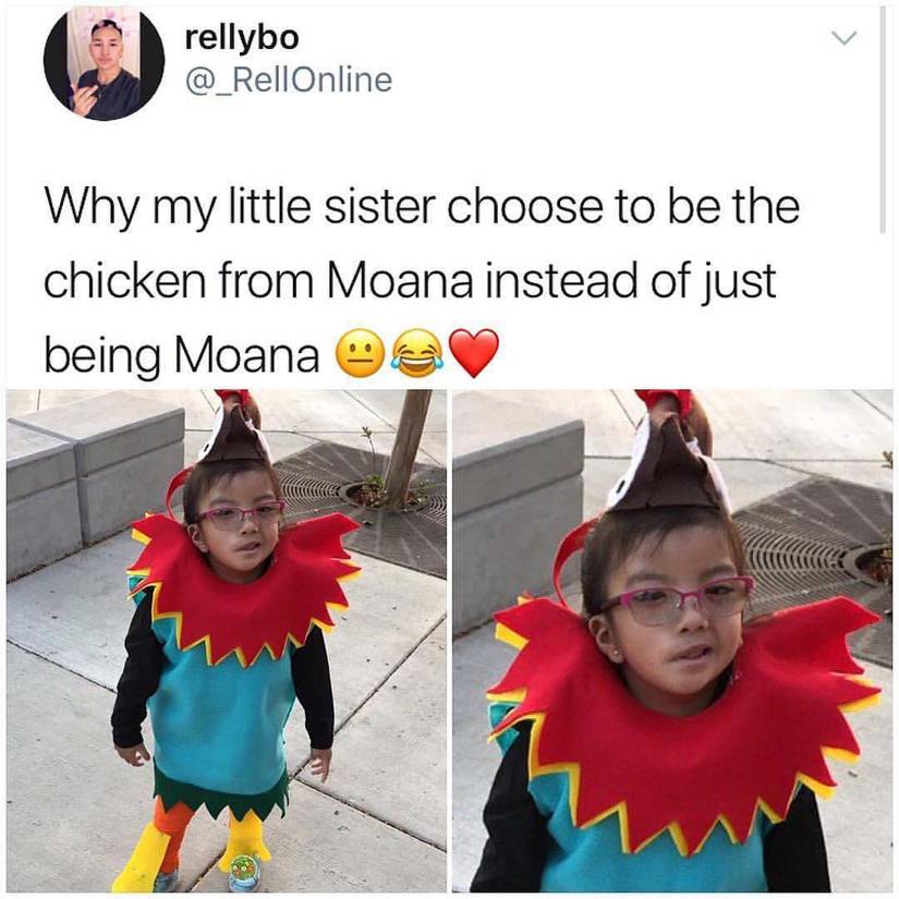 10 Hilarious Moana Memes That Are Too Funny
