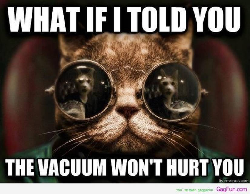 10 Matrix Memes That'll Have You Laughing Your Way To The Real World