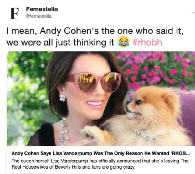 10 Real Housewives Memes That Are Too Hilarious For Words