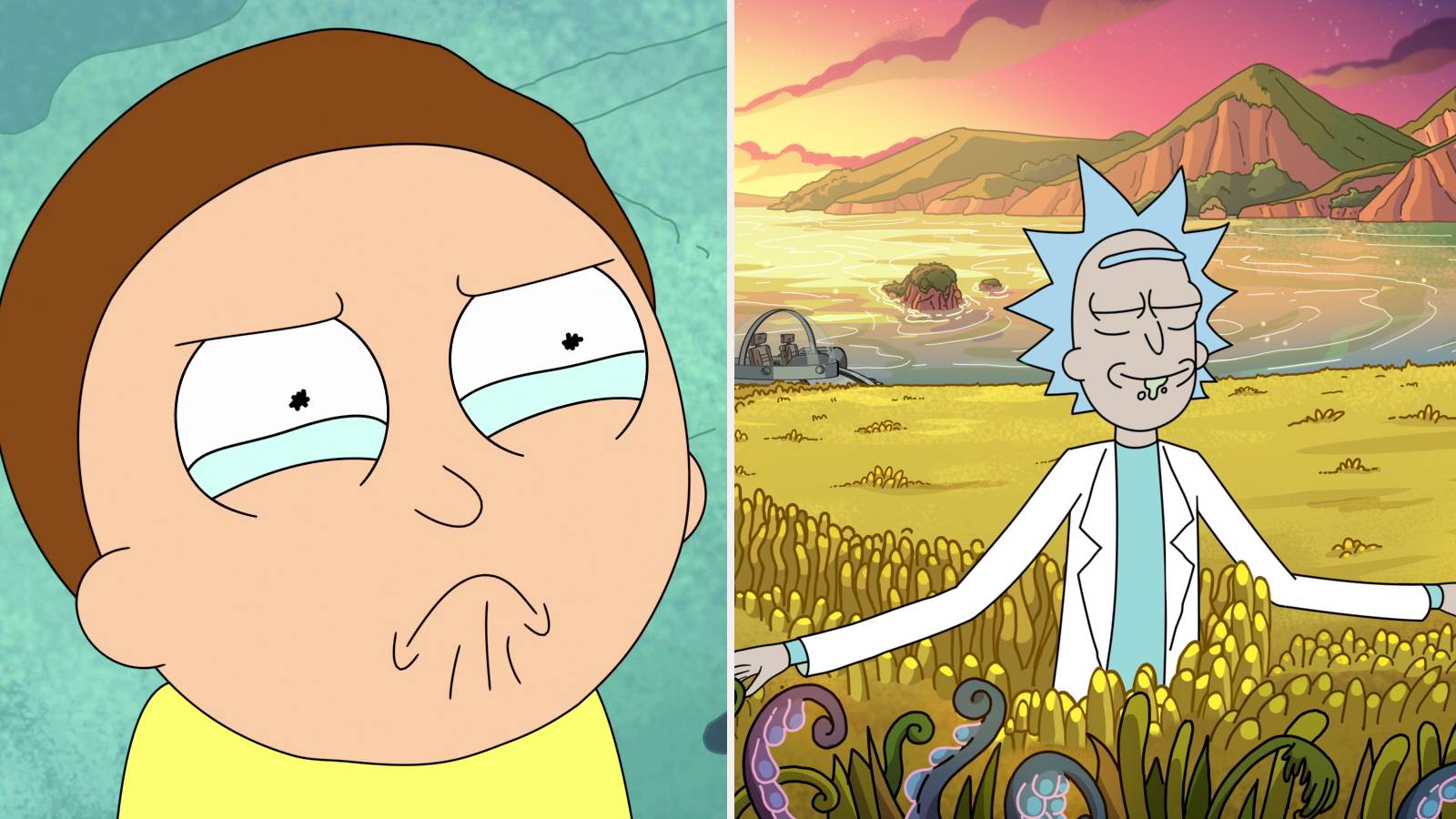 Rick And Morty: 10 Times The Show Broke Our Hearts