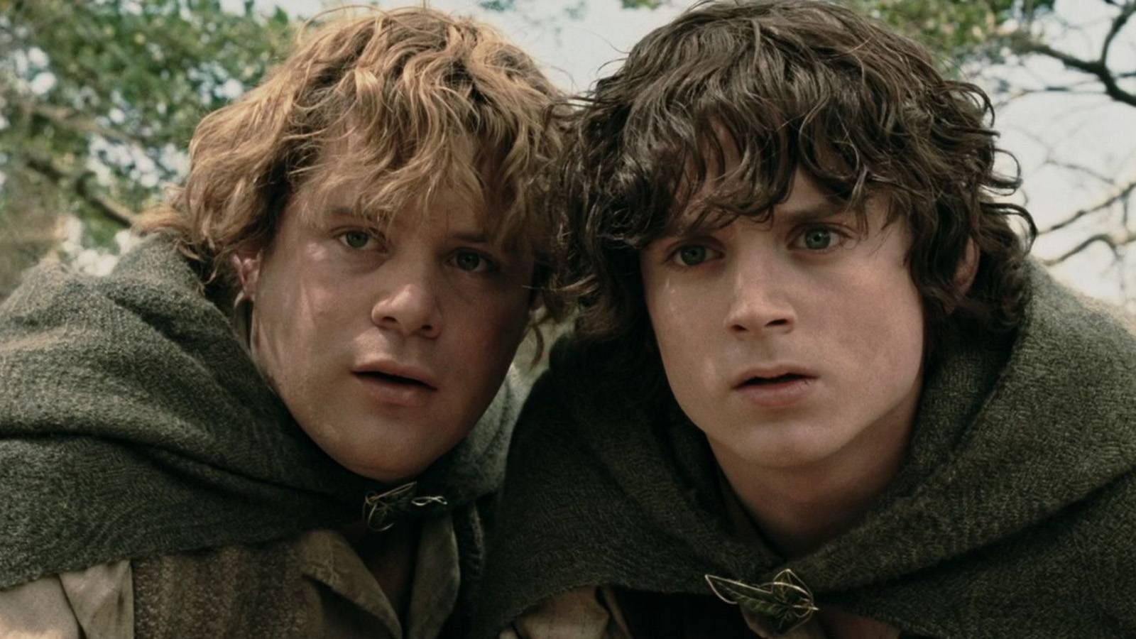 The Lord Of The Rings: 10 Hilarious Frodo & Sam Logic Memes That Are ...